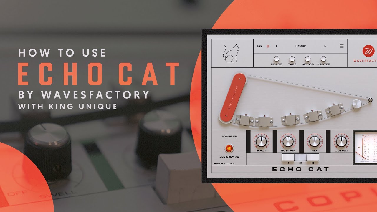 How To Use Wavesfactory Echo Cat - Get That Lo-fi Delay - YouTube