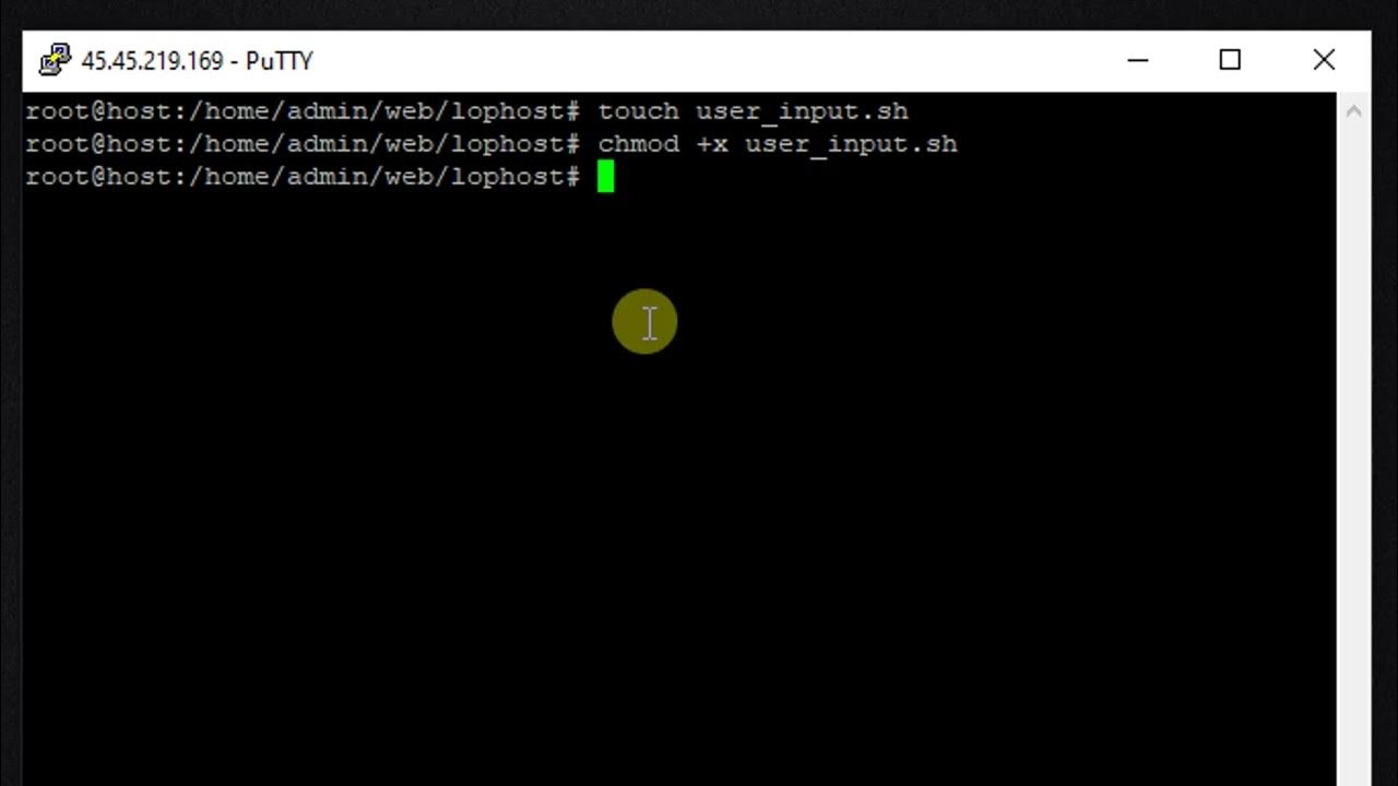 How To Take User Input in Shell Scripting - YouTube