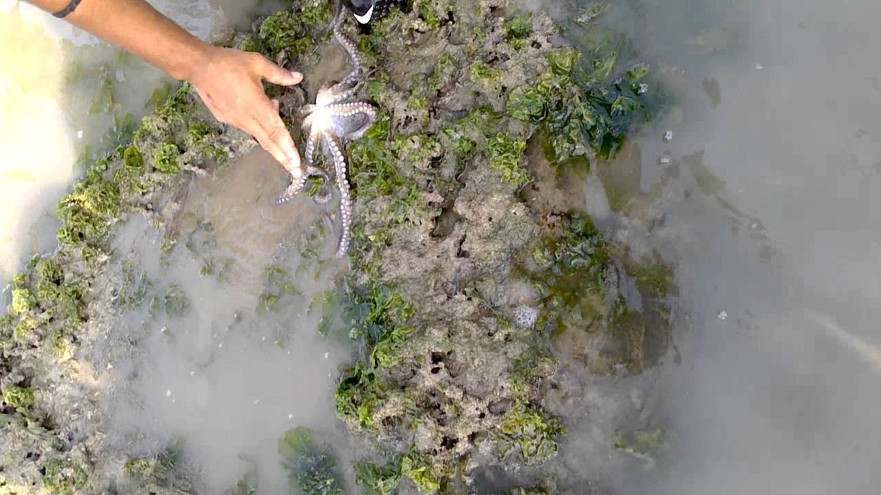 Narara tapu trip 16 nov 2012 - YouTube