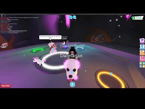Mega Dalmatian - YouTube