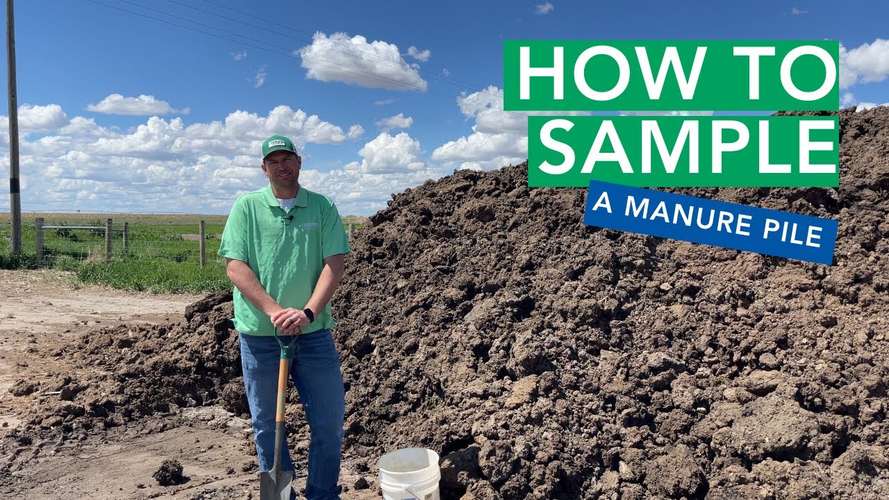 How to Sample a Manure Pile - YouTube