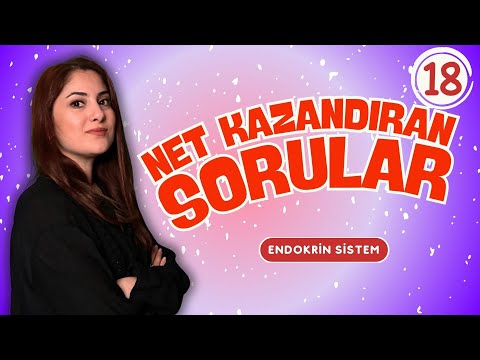 18) AYT - ENDOKRİN SİSTEM - (NET KAZANDIRAN SORULAR)