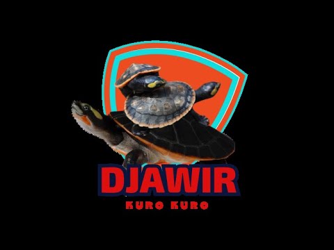 Jemur Kura-Kura
