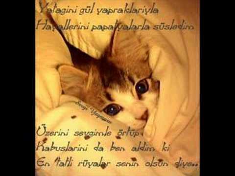 ASK DUDAKLARINDA
