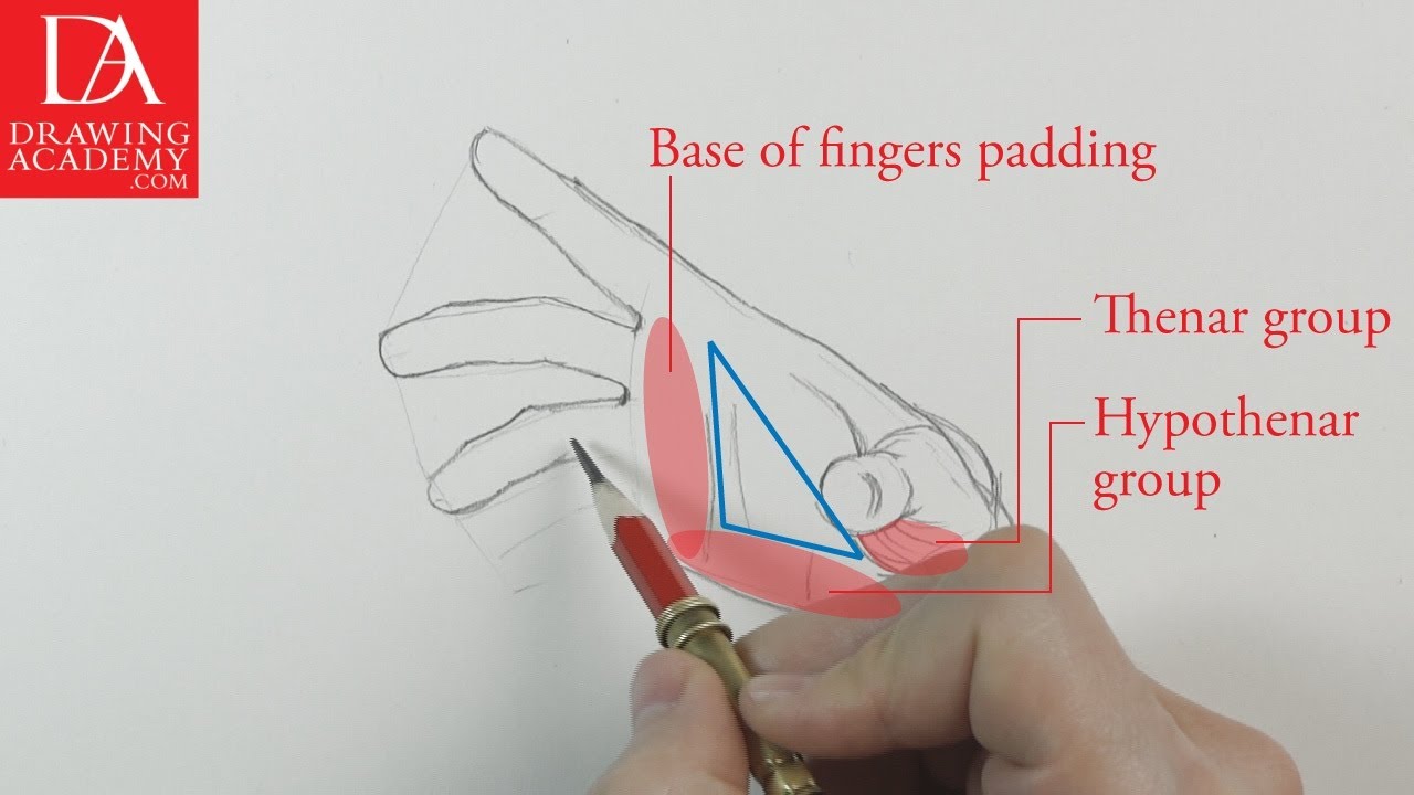 Drawing a Hand presented by Drawing Academy .com 21-3 - YouTube