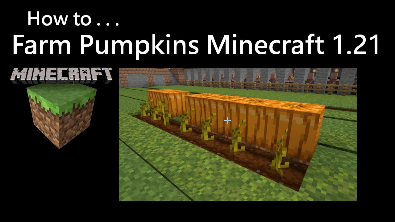 How To Farm Pumpkins Minecraft 1.21 - YouTube
