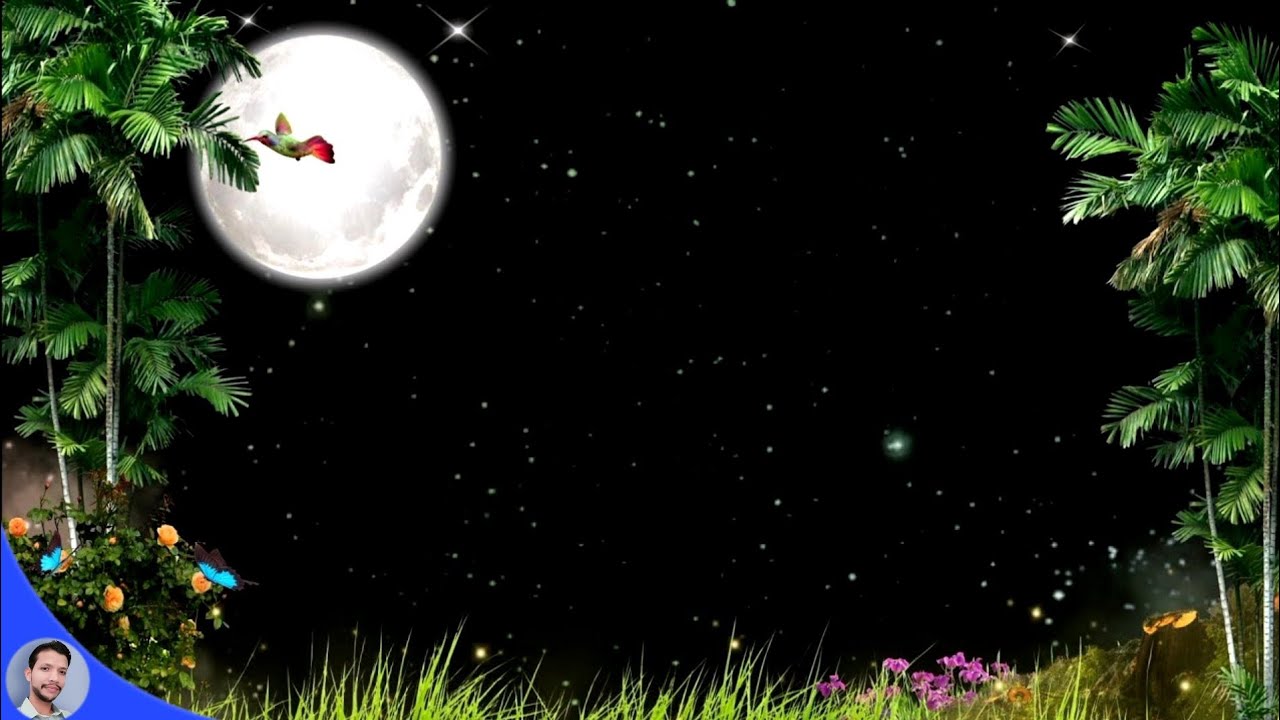 Background Video Effects hd / Template Video Background / Effect Video ...