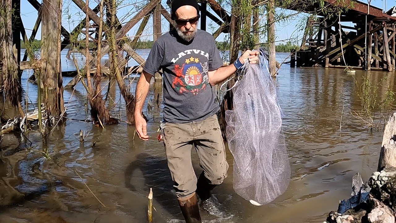 Albino Or Leucistic Blue Catfish, Still Extremely Rare, Mississippi ...