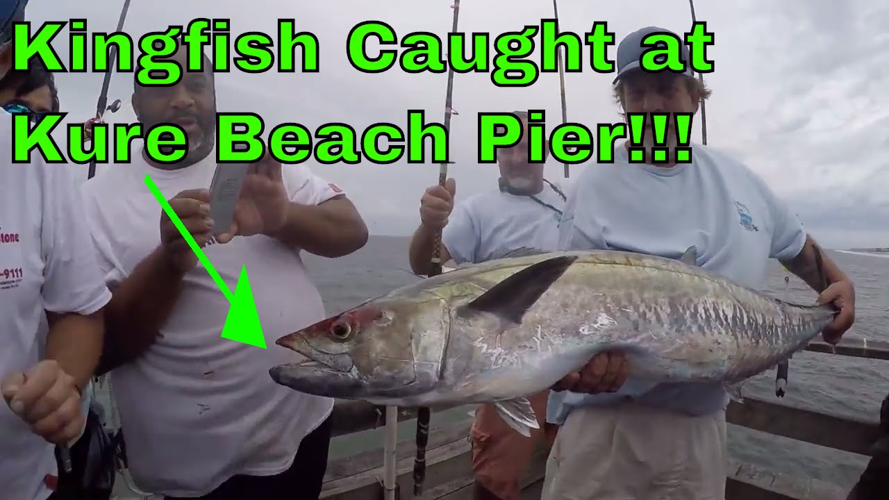 Monster Kingfish Caught at Kure Beach Pier - BDB Fishing - YouTube
