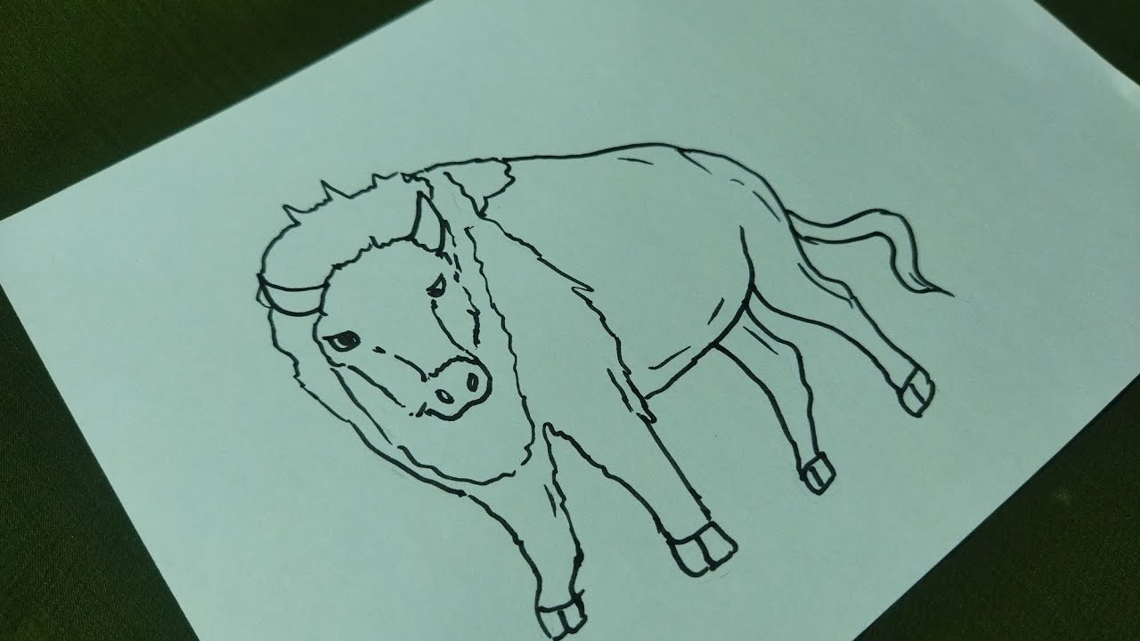 bison | bison draw | how to draw a bison | simple bison drawing | bison ...