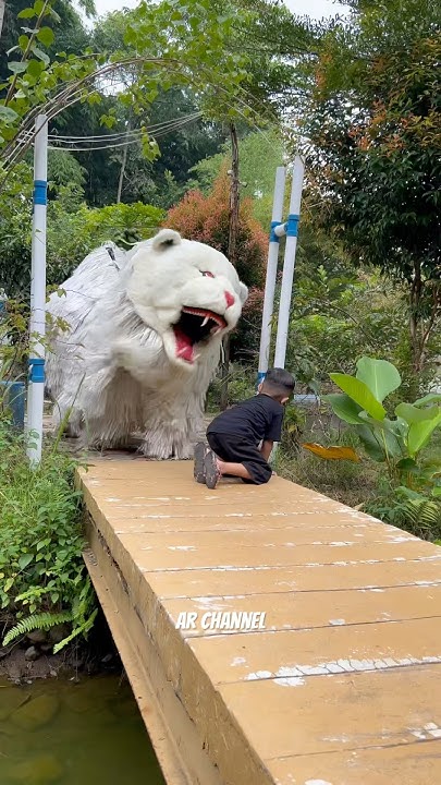 Bocil baju hitam lagi asik main tiba tiba di makan can macanan - YouTube