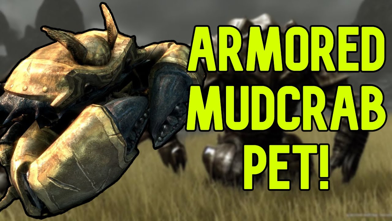 How to Get an Armored Mudcrab in Skyrim! | Complete Guide - YouTube