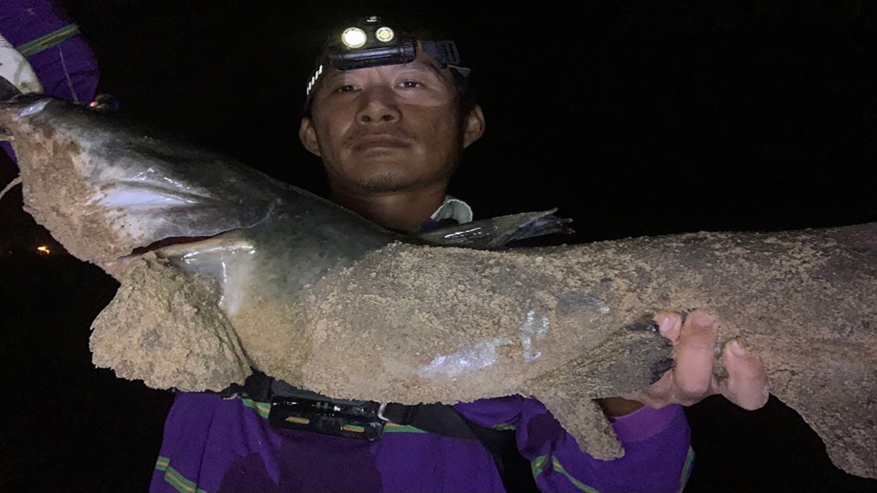 Monster Fish caught at Wisconsin Dells(Wisconsin River at Kilbourne Dam ...