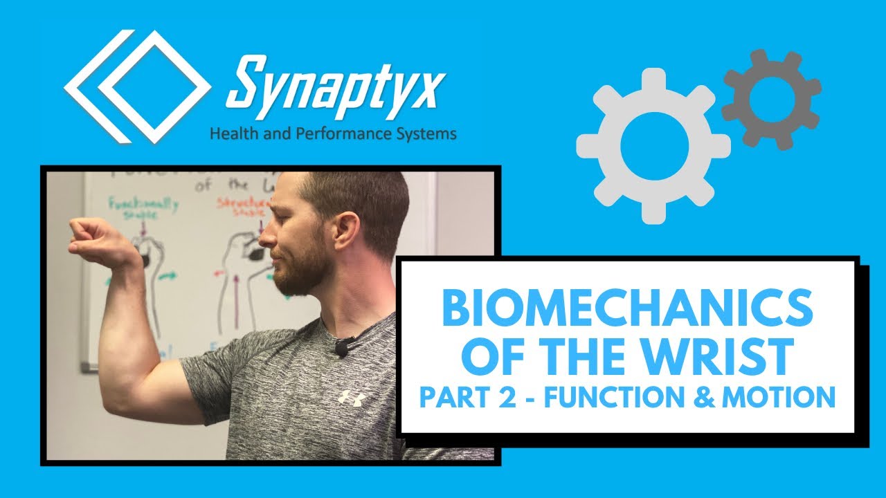Biomechanics of the WRIST - Pt 2 FUNCTION & MOTION - YouTube