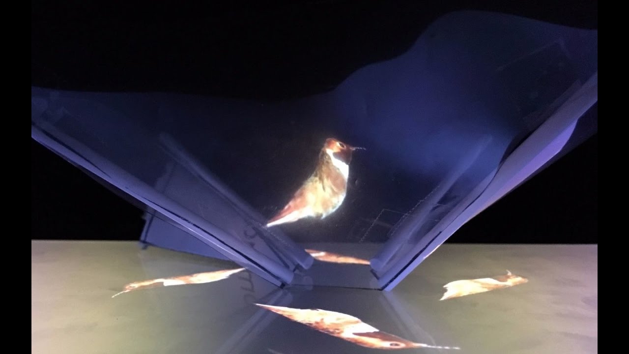 humming bird HD 4k hologram video - YouTube
