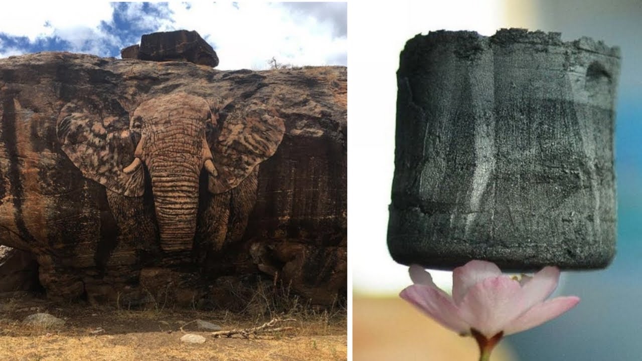 Unbelievable And Rare Things You've Never Seen In Your Life - YouTube