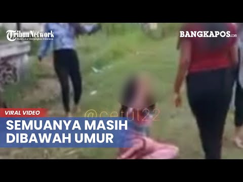 Video Viral Anak Perempuan Jadi Korban Perundungan, Akibat Emosi Sesaat