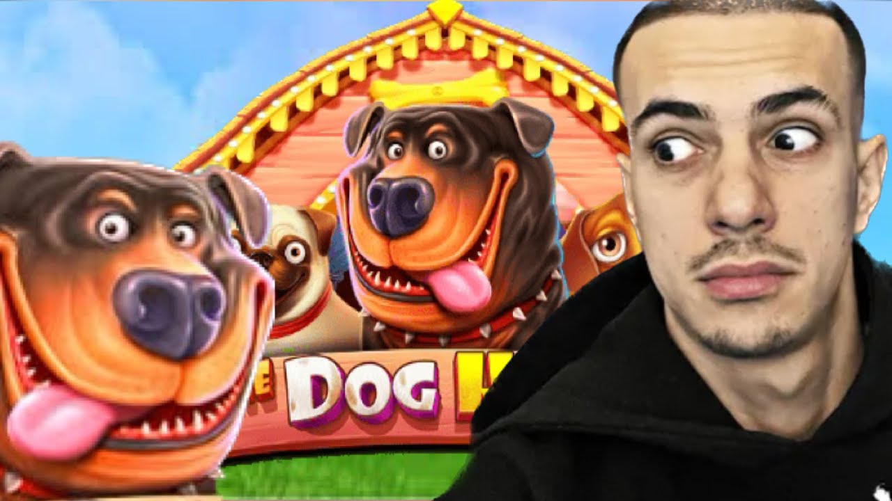 Nugato dobio 560$ na Dog Hause - YouTube