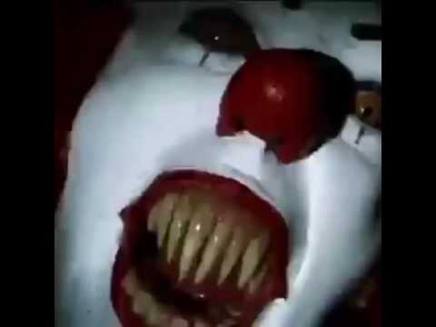 SCARY OPTICAL ILLUSION (MUST WATCH) - YouTube