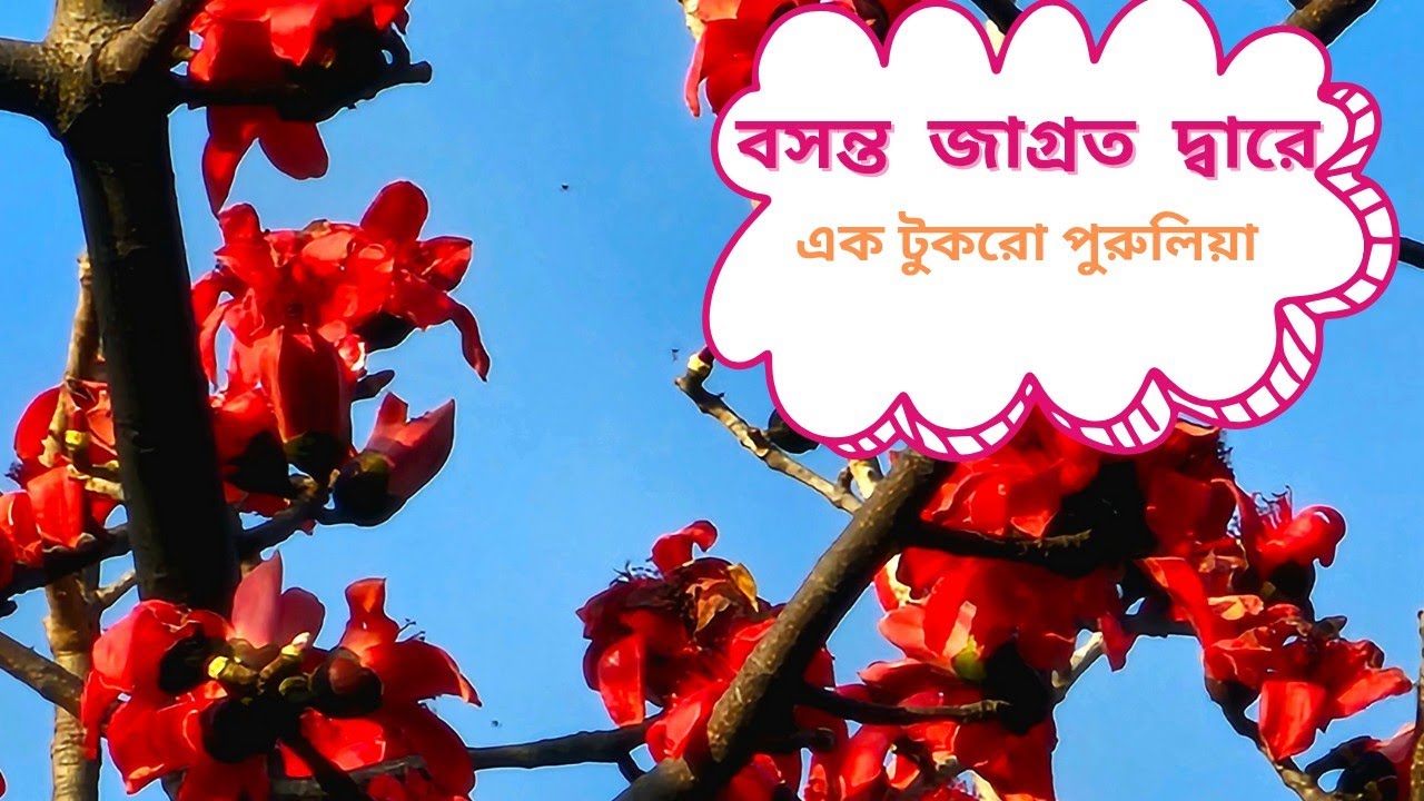 Basanter Range Rangeen Purulia #puruliatourism #puruliatour #purulia ...