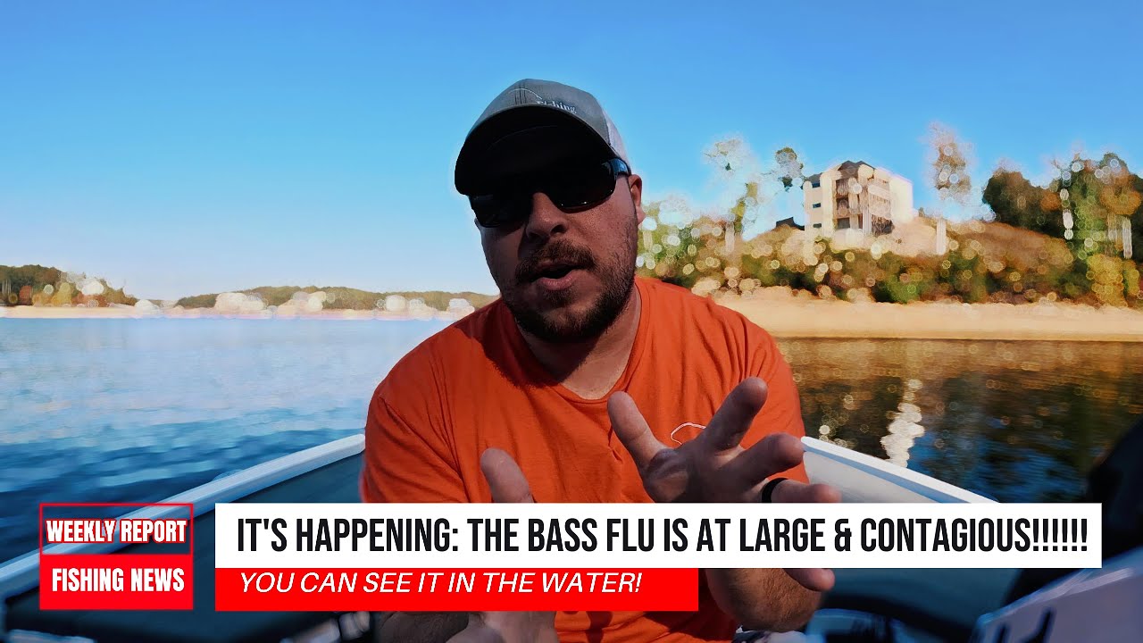 Breaking News November 4th-10th Fishing Report - YouTube