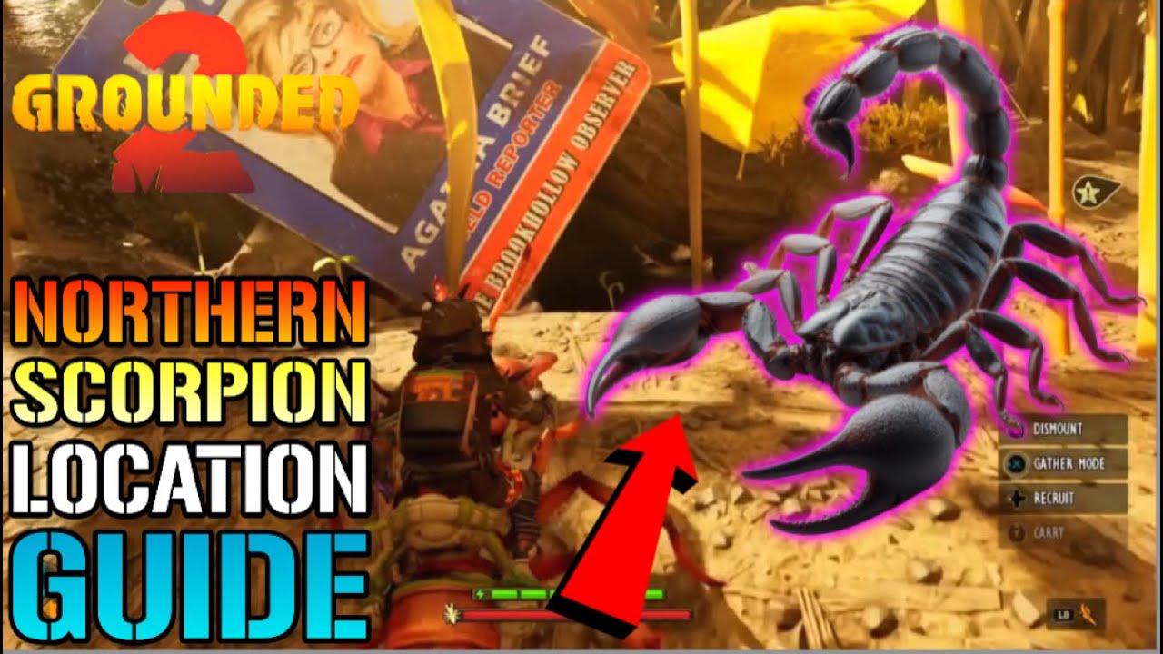 Grounded 2: "Northern Scorpion" Location Guide! How To Find Scorpion ...