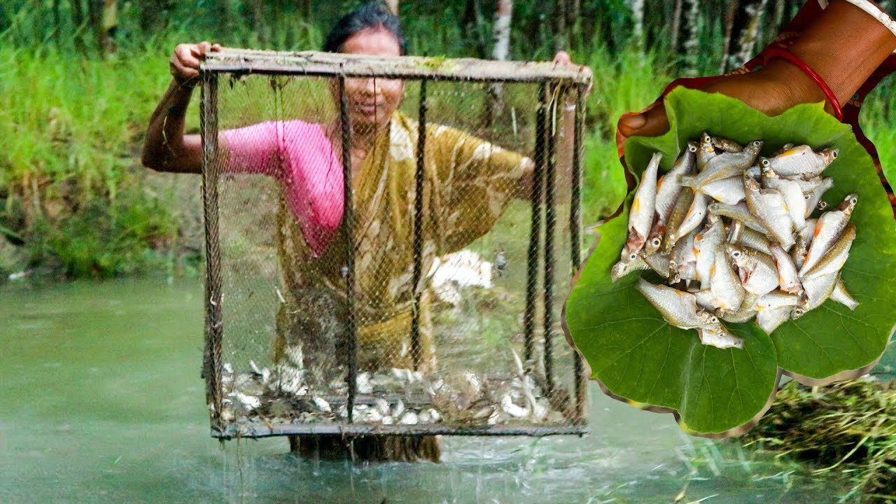 AMAZING Puti Machher Jhaal - Bengali Traditional Puti Fishing and ...