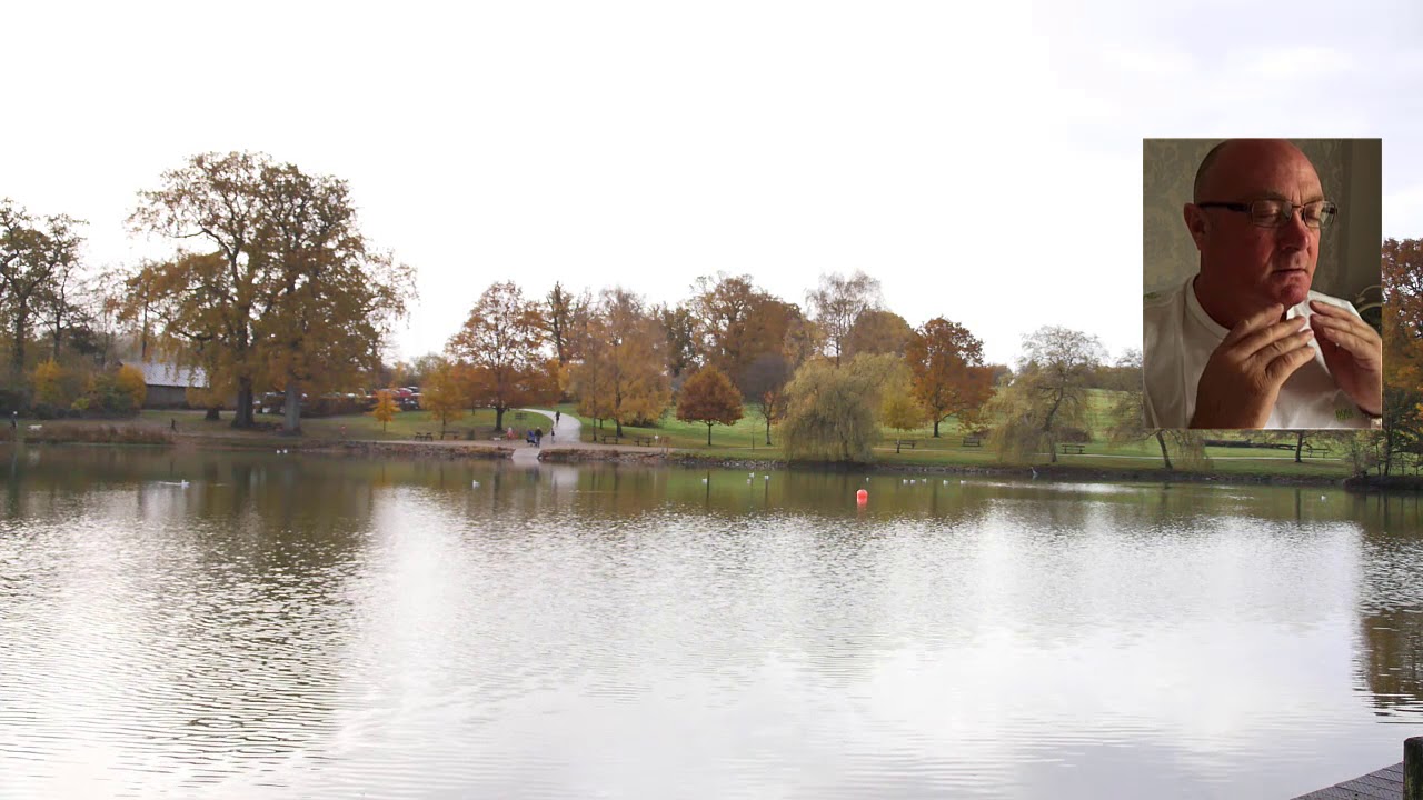 Guided Havening Hypnotic Meditation to Relax and Let Go - Chris Meaden ...