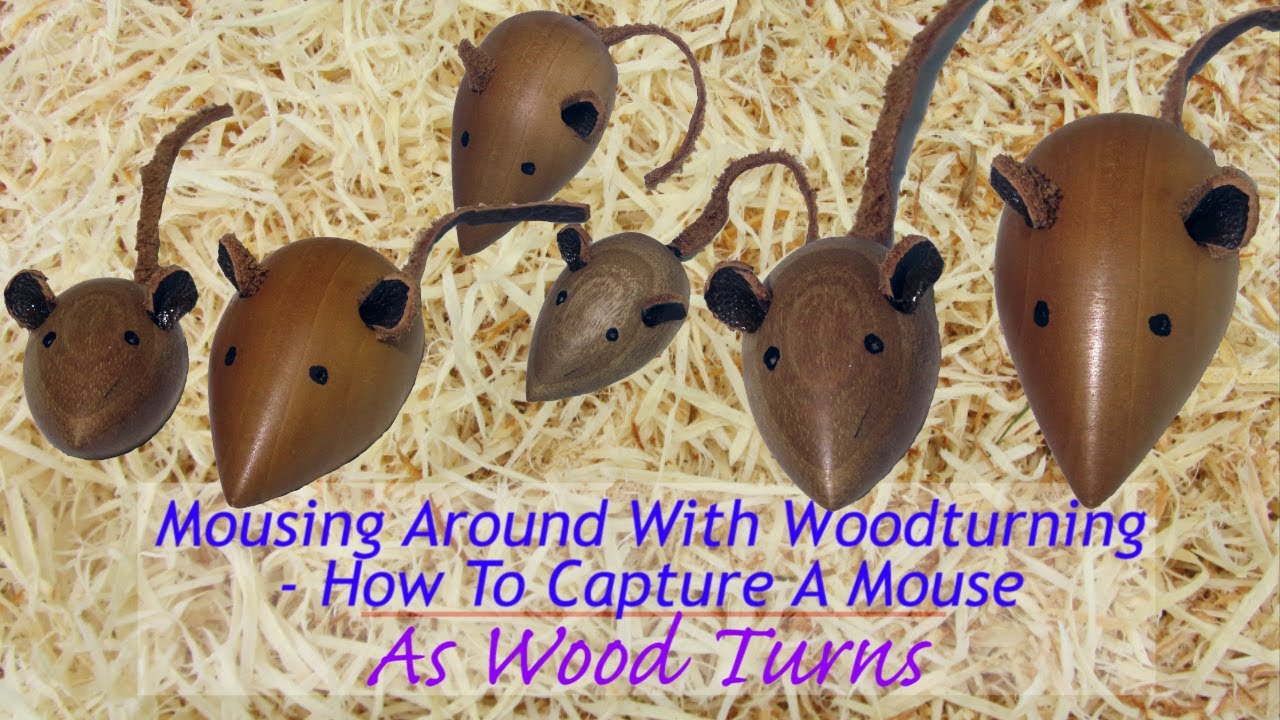 Mousing Around With Woodturning - How To Capture A Mouse - YouTube