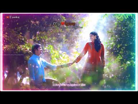 Hamko malum hai ishq masum hai // whatsapp status//black screen // pankaj creations