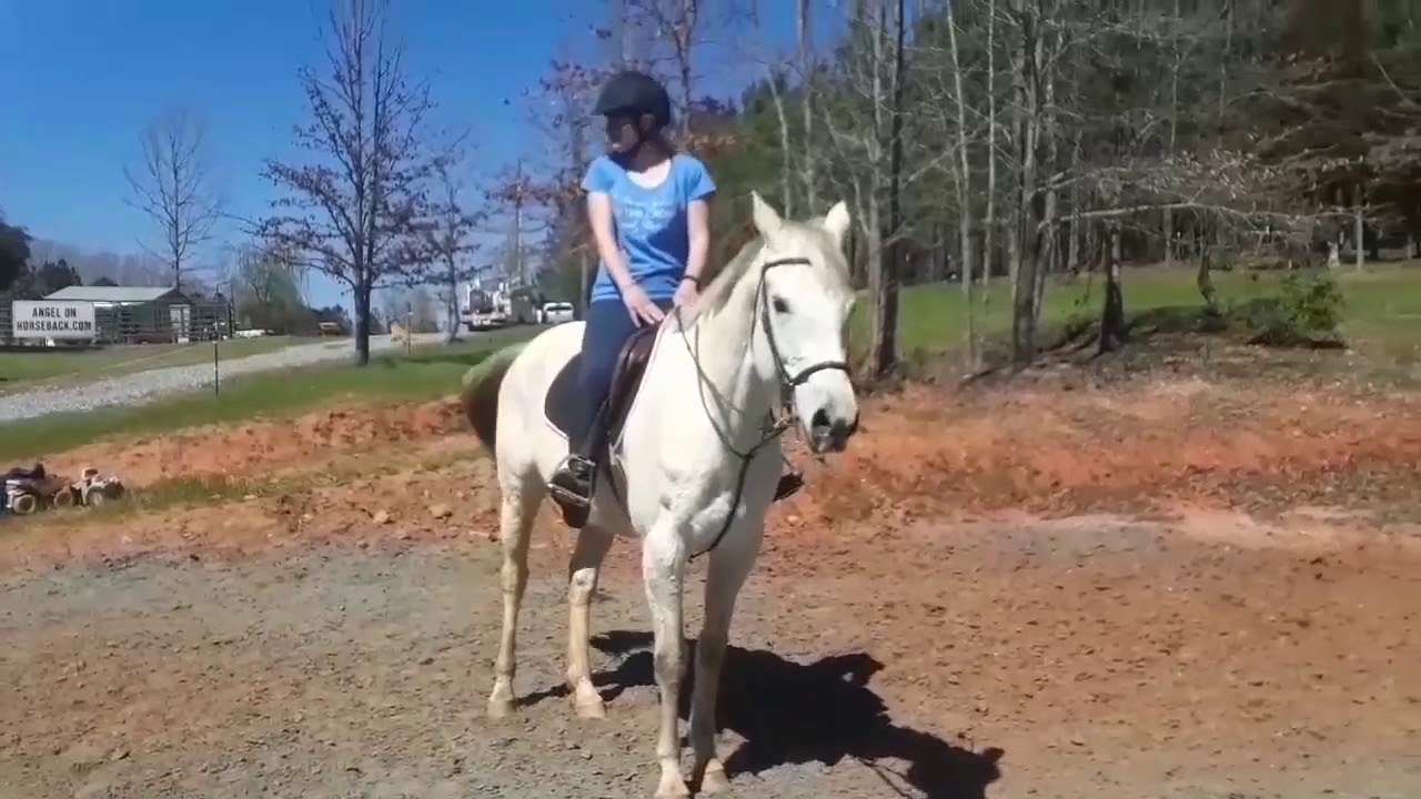 FOR SALE Appendix Mare Stars Smashin' Feature - YouTube