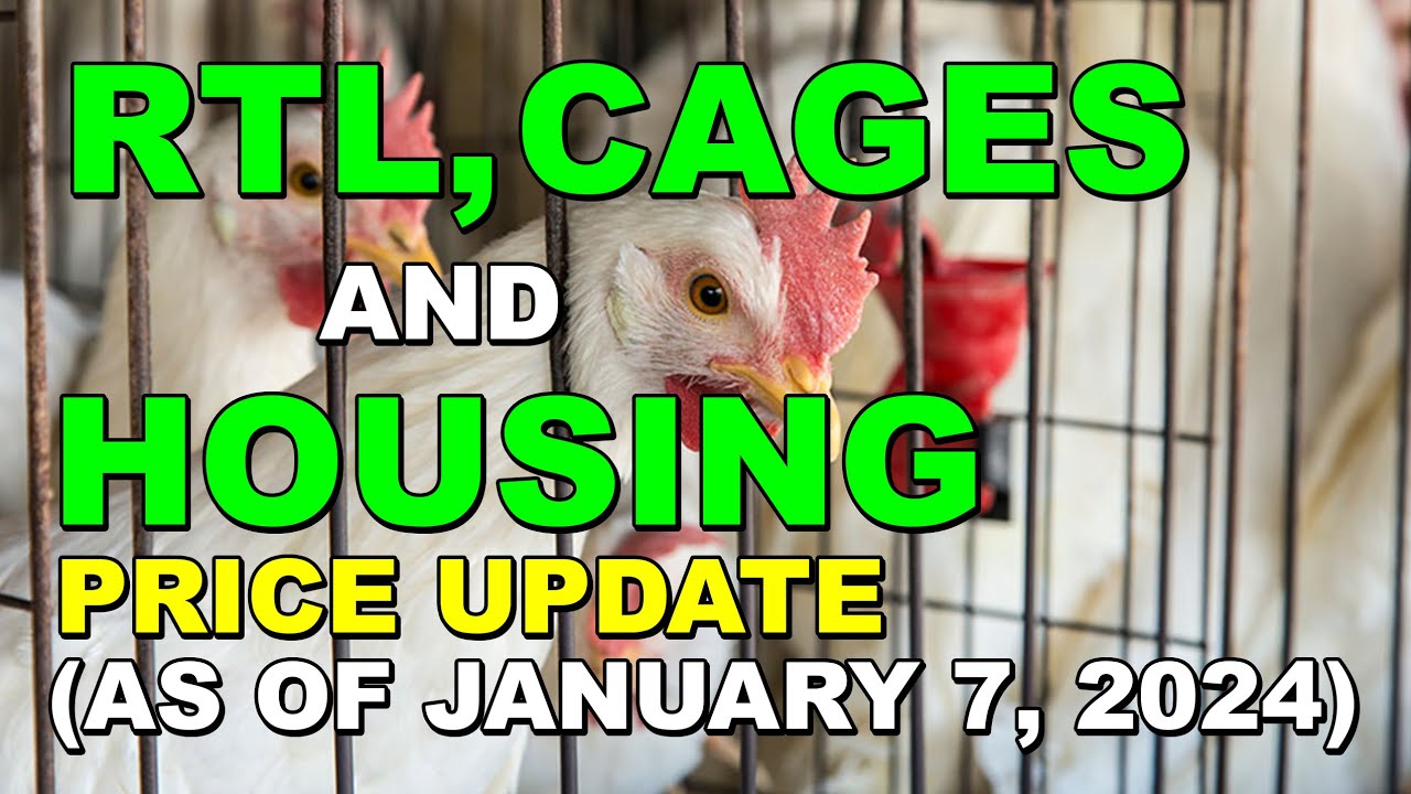 RTL, CAGES AND HOUSING | PRICE UPDATE | AS OF JANUARY 7, 2024 - YouTube