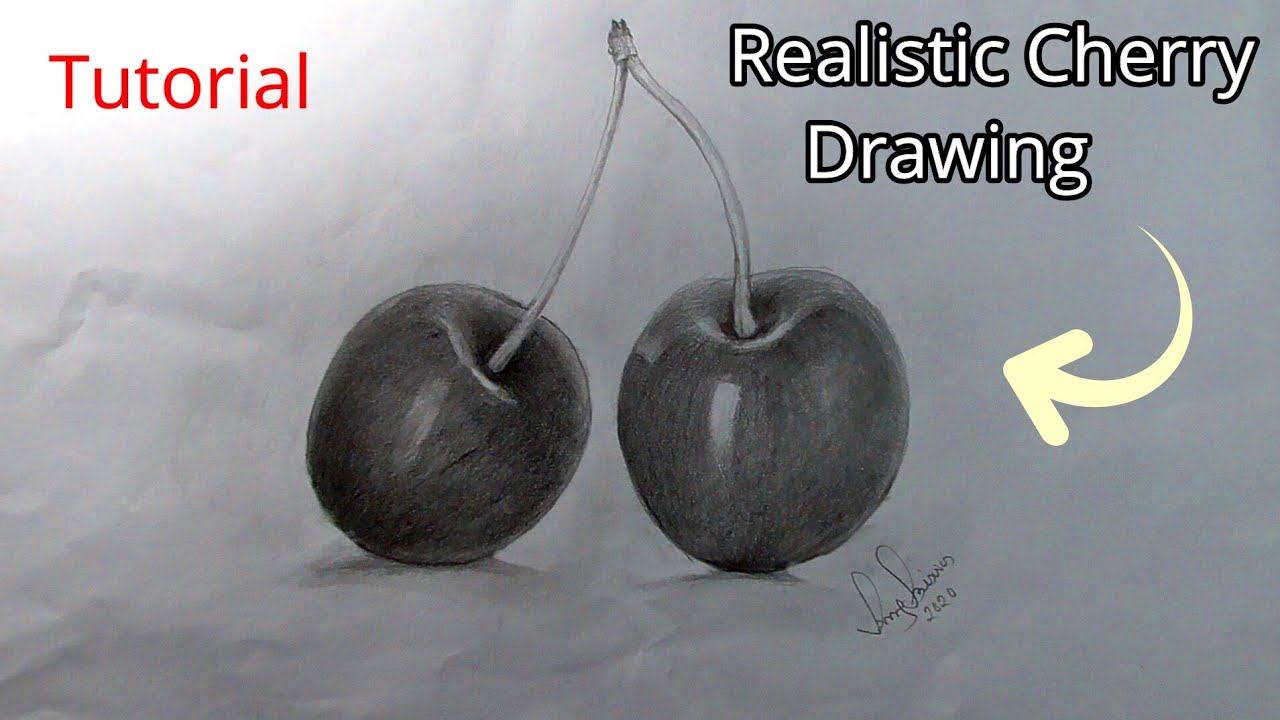 Hyper Realistic Cherry Drawing / How to draw Realistic Cherry step by ...