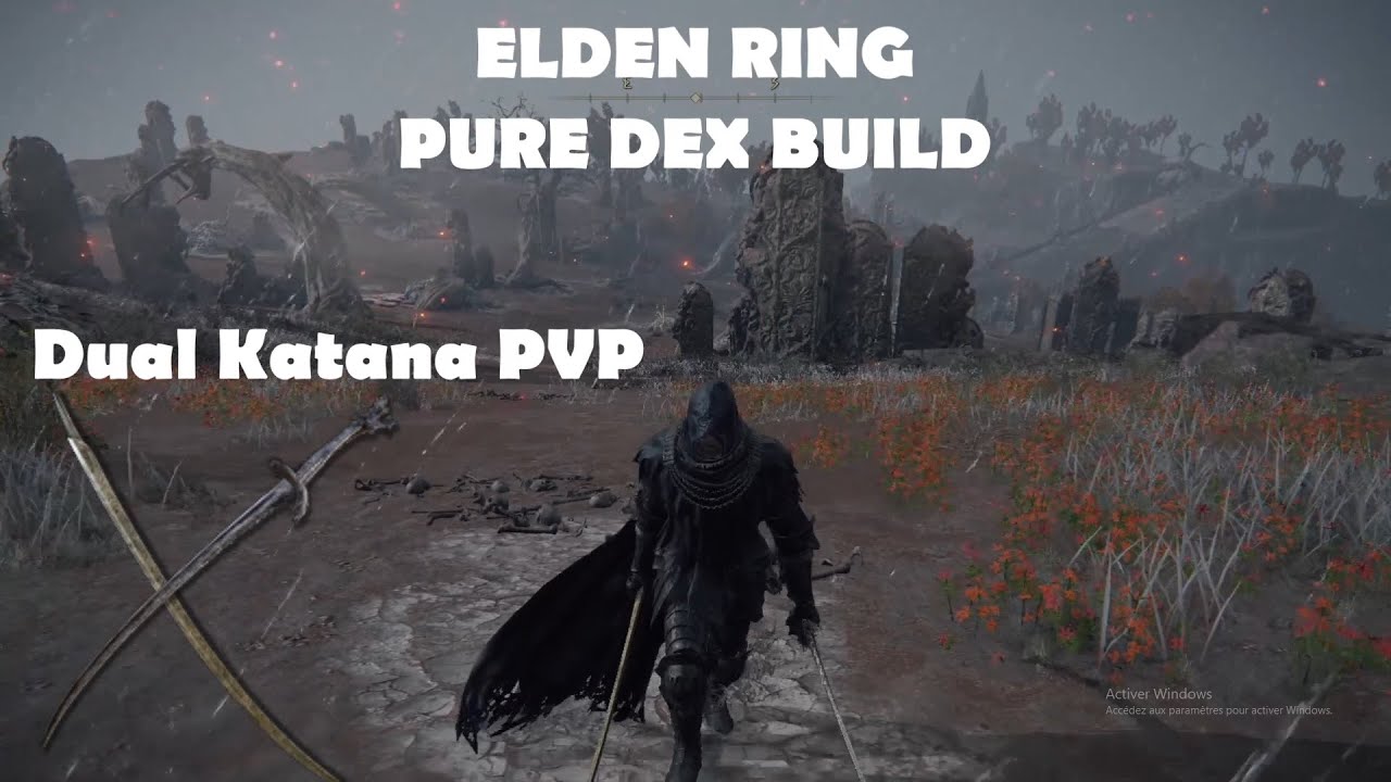 Elden Ring : PURE DEX PVP BUILD - Dual Katana (Hand of Malenia x ...