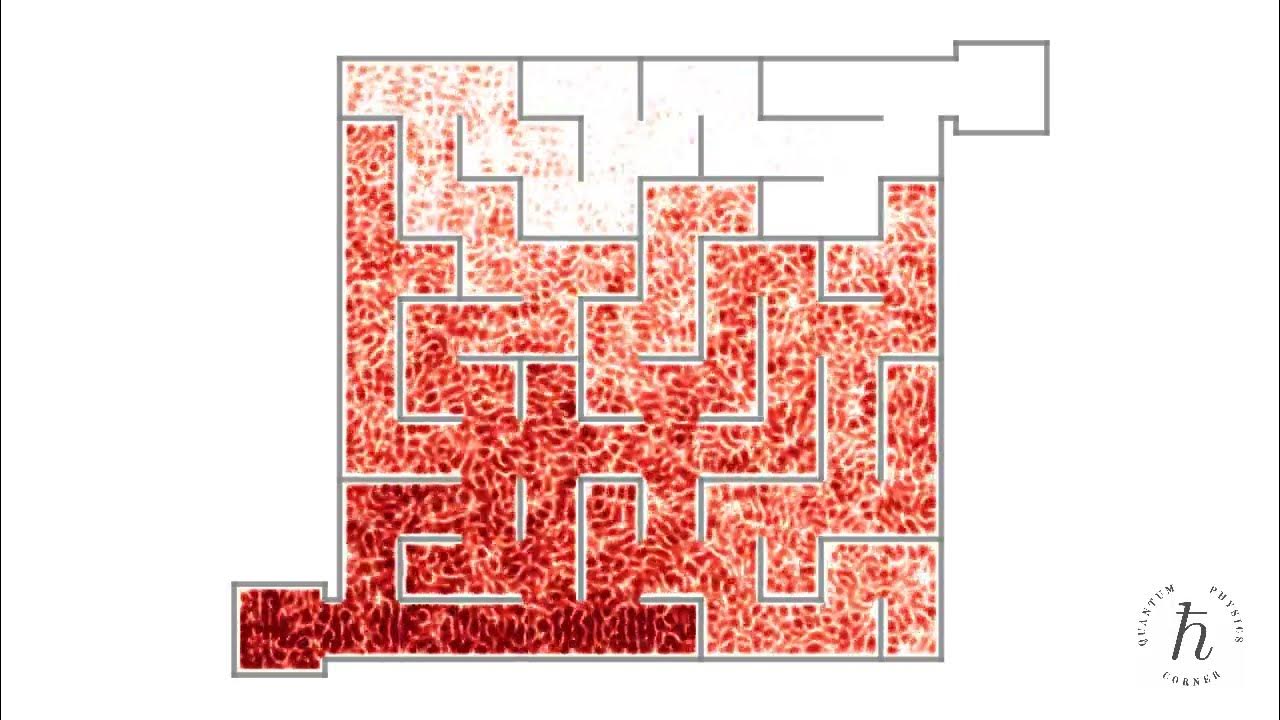 Quantum particle in a maze - YouTube