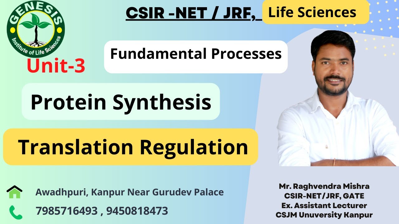 Regulation of Translation | Global and Spatial Translational Control ...