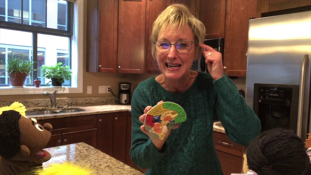 Lesson 2: The Guard Dog & The Wise Owl - YouTube