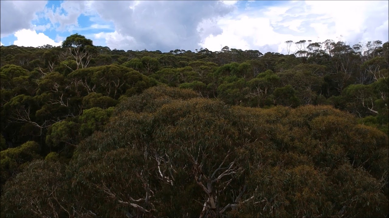 Coolah Tops NP Barracks Campground - YouTube