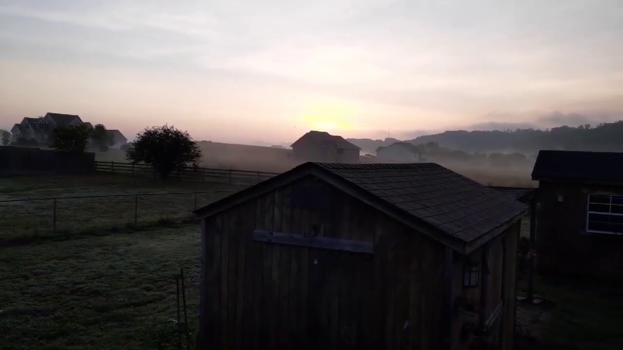 Morning sounds on the farm - YouTube