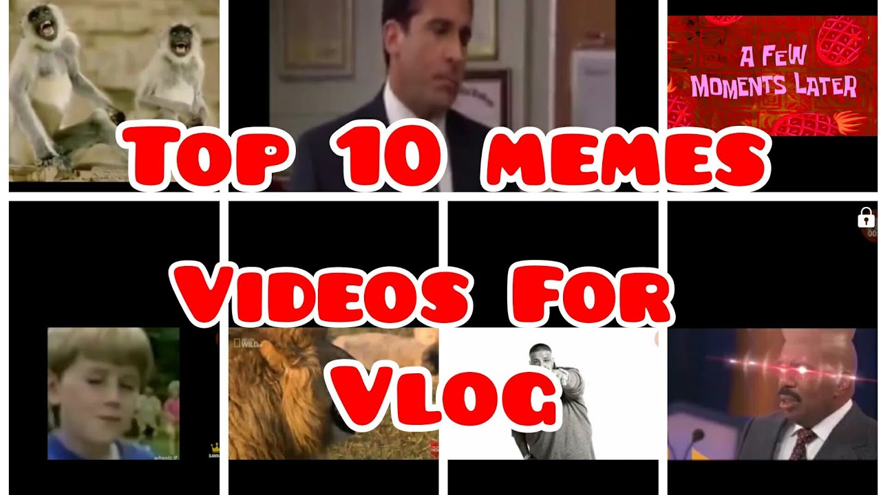 Top 10 popular memes video for vlogging - YouTube