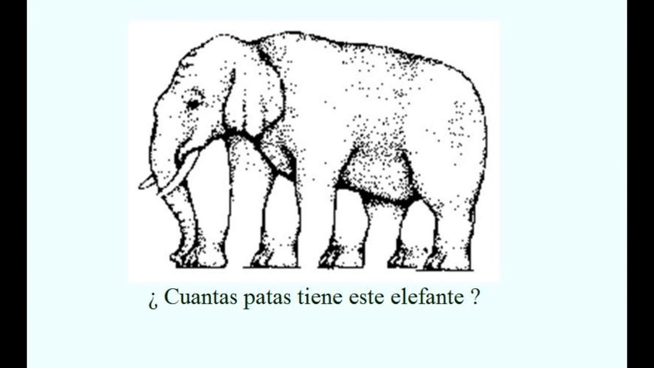 100 Mejores Imagenes De Percepcion Visual En 2020 Actividades Images Images