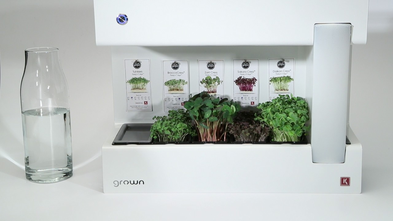 Grown - Advanced indoor garden for microgreens - YouTube