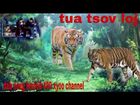 2 kwv tij mu yos hav zoov muaj dab tsov Los mooj tua tsov txaus ntshai heev - YouTube