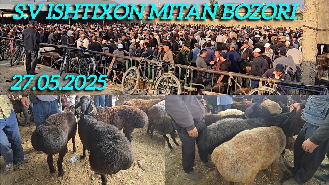 SAMARQAND V ISHTIXON MITAN BOZORIDAN NARXLAR 27.05.2025 - YouTube
