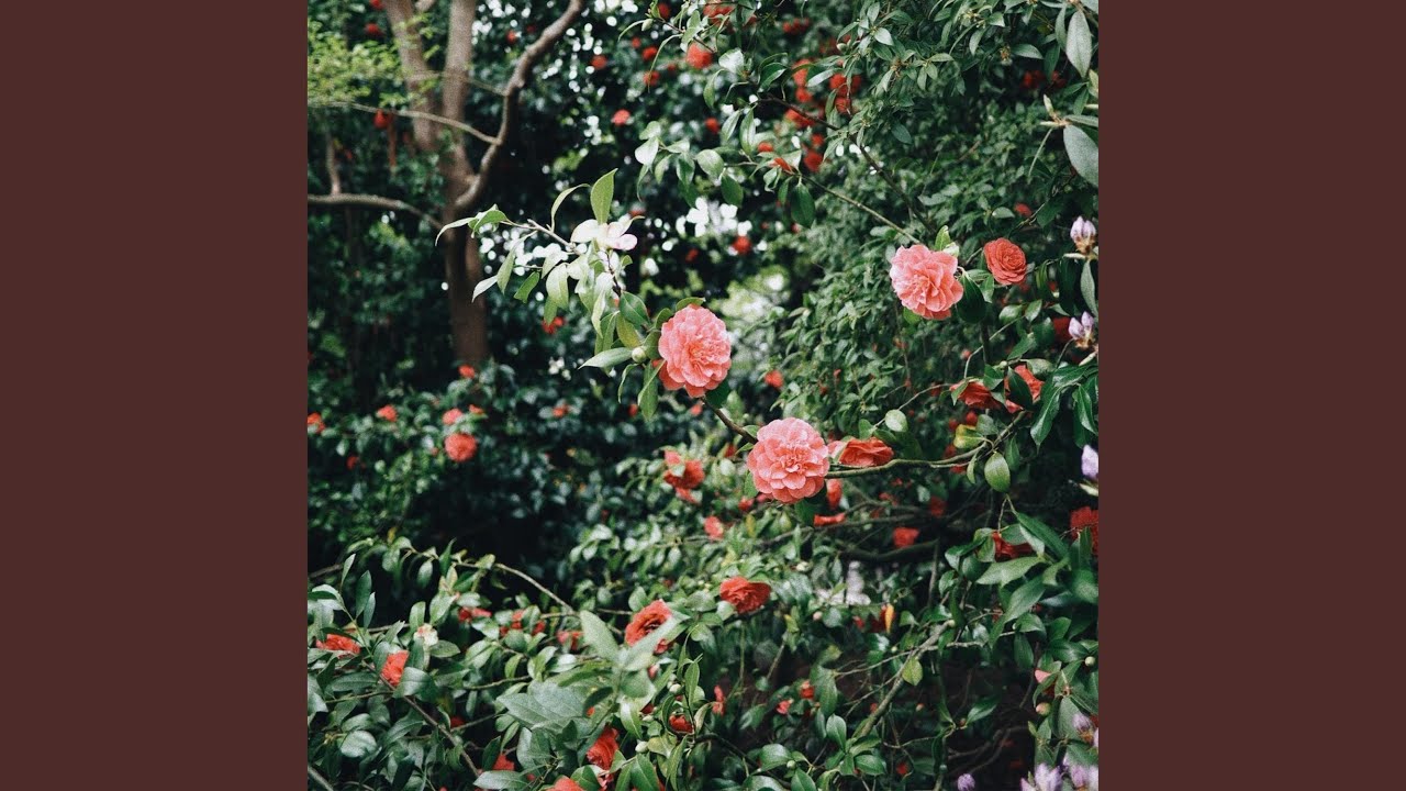 Mellow Meadows - YouTube