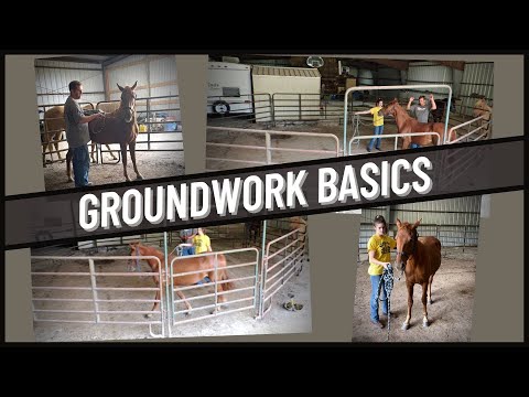 FIRST TIME Learning Groundwork Basics - Nuggets Training Day 1 Part 2 - YouTube