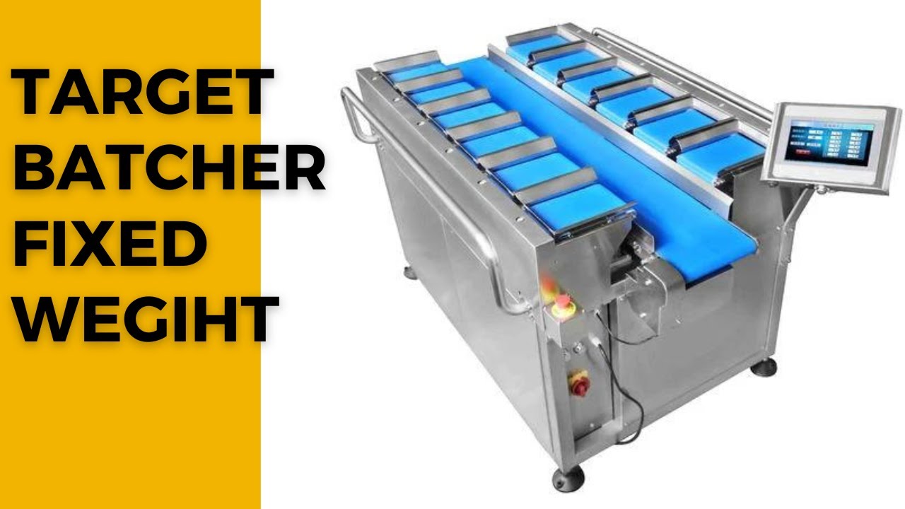 Fresh Fish Fillet Target Batcher In-Motion Fixed-weight scale - YouTube