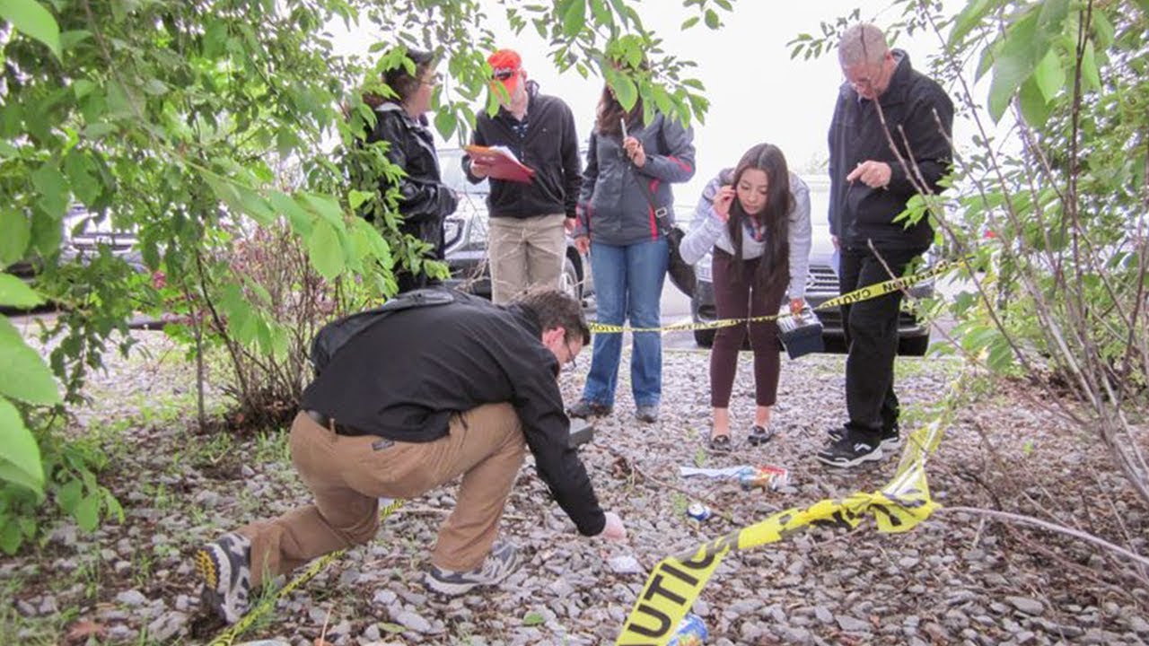 CI: The Crime Investigators | Problem Solving Team Building Activity ...