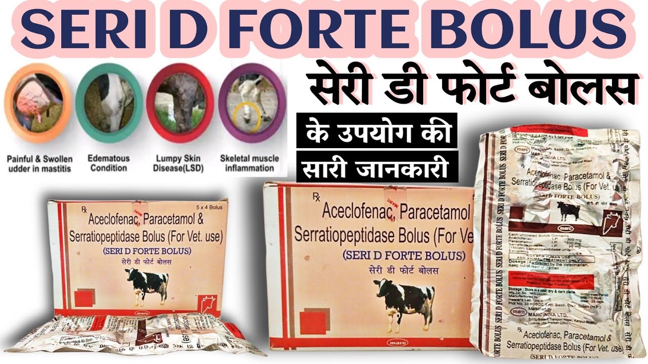 seri d forte bolus दर्द सूजन बुखार की दवा veterinary medicine ...