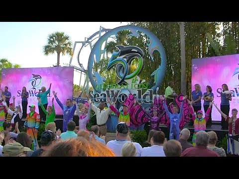 SeaWorld 50th anniversary Sea of Surprises celebration kickoff in ...